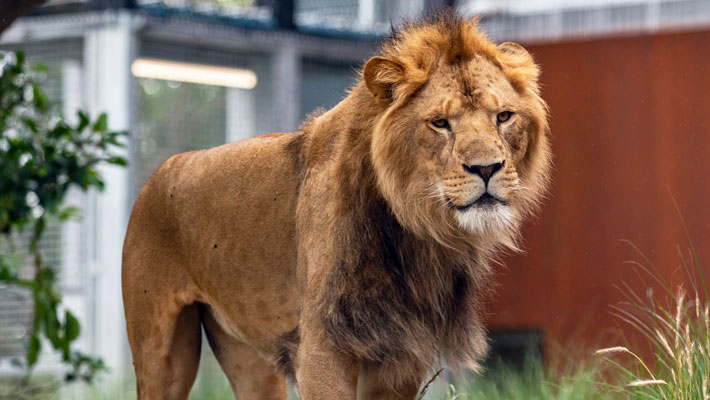 Visit Us | Taronga Conservation Society Australia