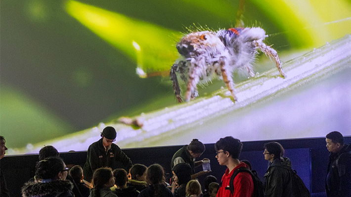 Crawly Critters Alive Show | Taronga Conservation Society Australia