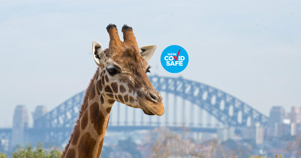 Taronga Zoo Sydney | Taronga Conservation Society Australia